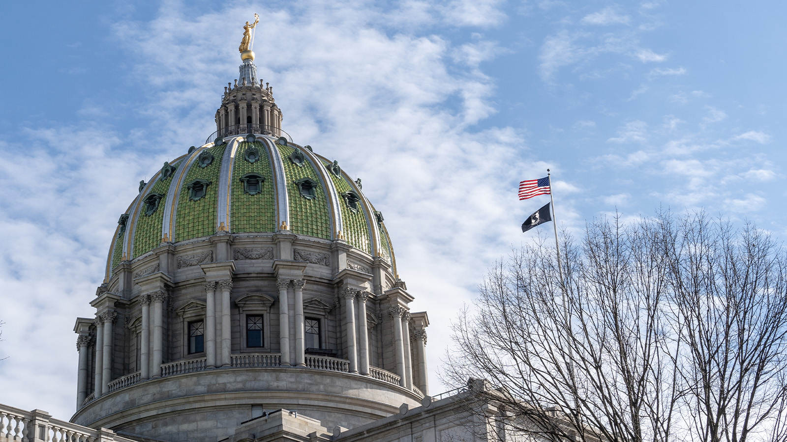 Home - Senator Argall